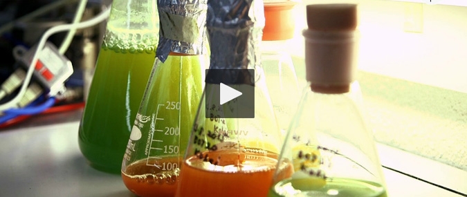 Laboratoire GEPEA - GEnie des Procédés Environnement - Agroalimentaire